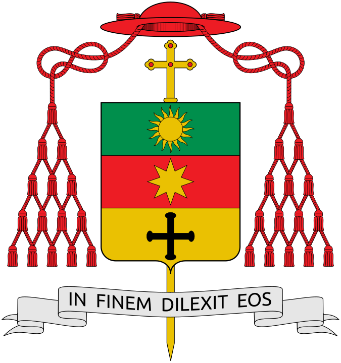 Cardinal Júlio Duarte Langa - The College of Cardinals Report