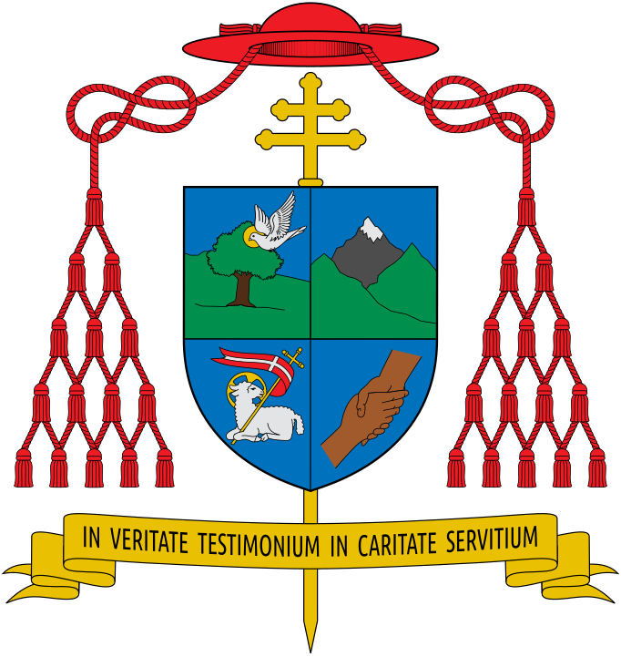 Cardinal John Njue - The College of Cardinals Report